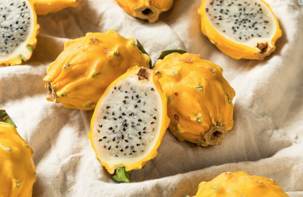 Enzimología y bioprocesos : Instituto de investigación de Bioquímica y ...